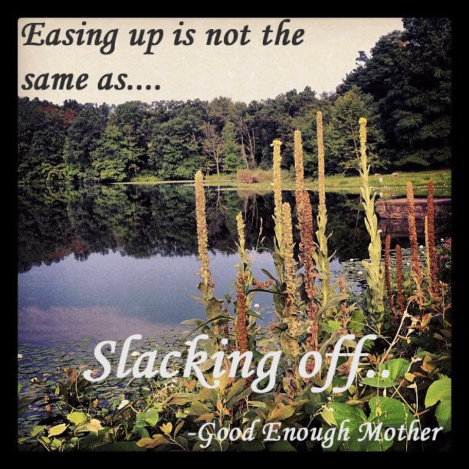 Monday Morning Motivation: It's Okay To Slow The Pace : Good Enough Mother